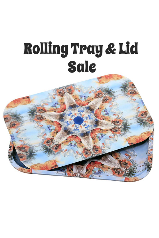 Wholesale Lot of 12 Large Rolling Trays with Magnetic Lids
