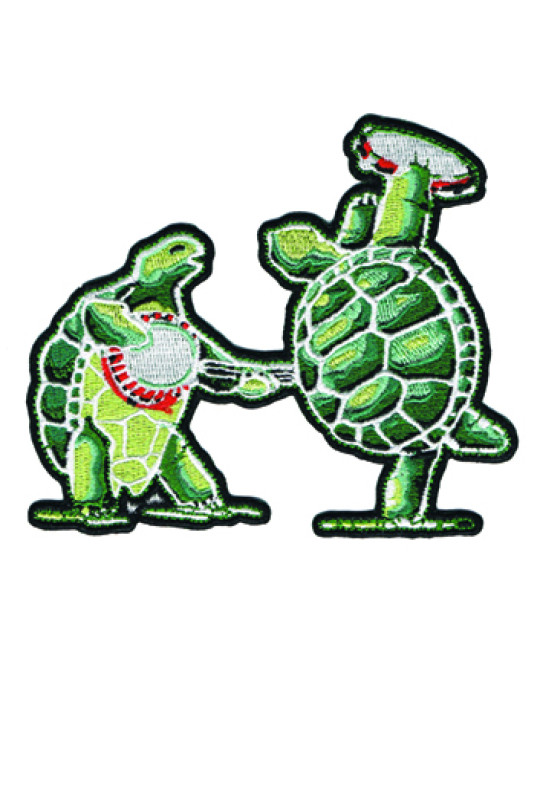 Grateful Dead Terrapins Patch